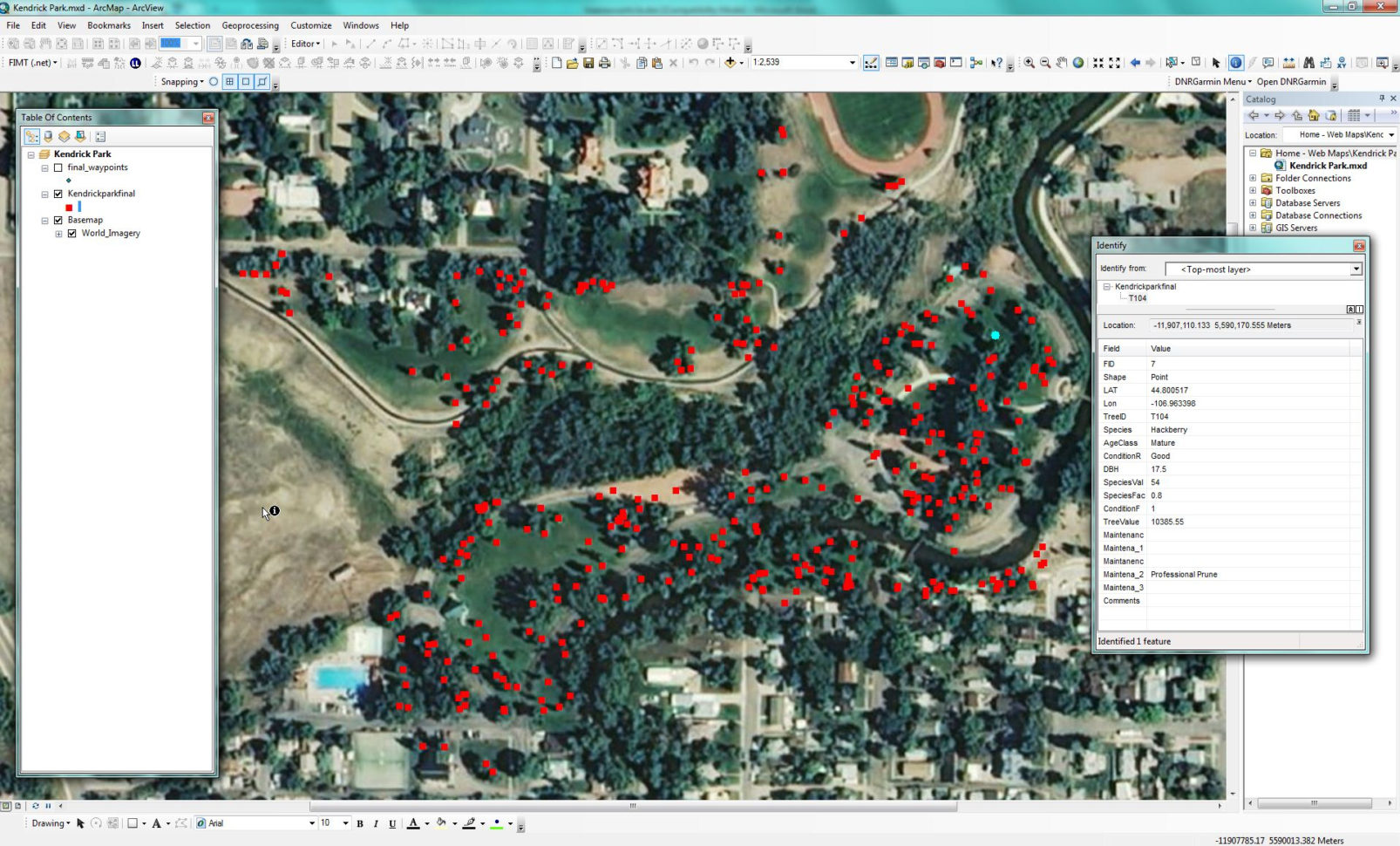 Tree Inventory Spreadsheet — db-excel.com