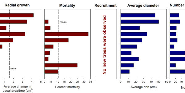 Tree Inventory Spreadsheet Google Spreadshee tree inventory spreadsheet.