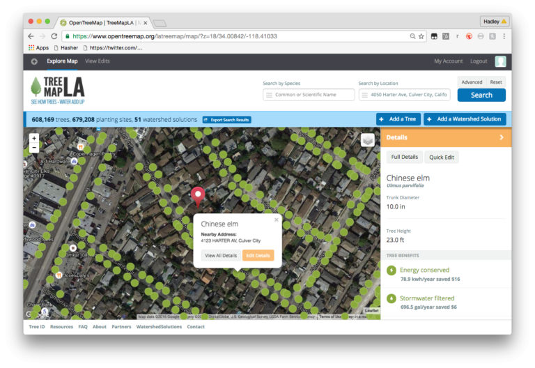 Tree Inventory Spreadsheet — db-excel.com