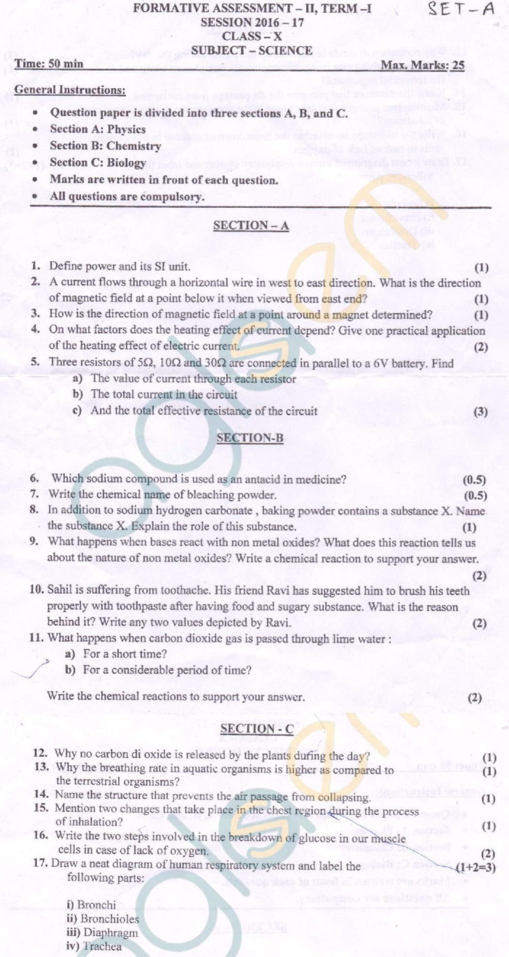 10Th Grade Biology Worksheets With Answers — db-excel.com