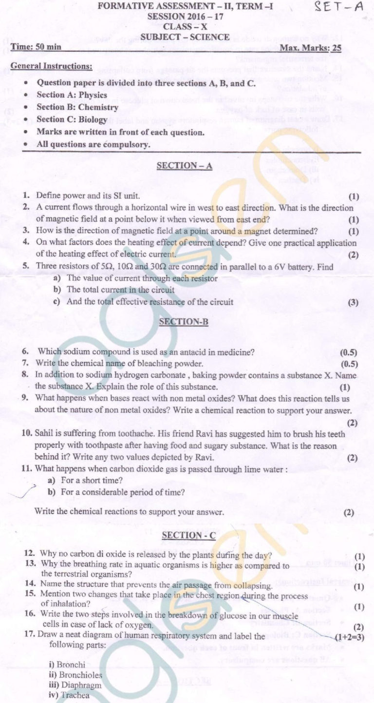 10Th Grade Biology Worksheets With Answers — db-excel.com