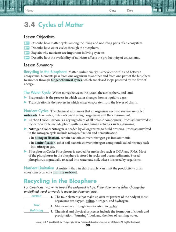 Cycles Of Matter Worksheet Answers — db-excel.com
