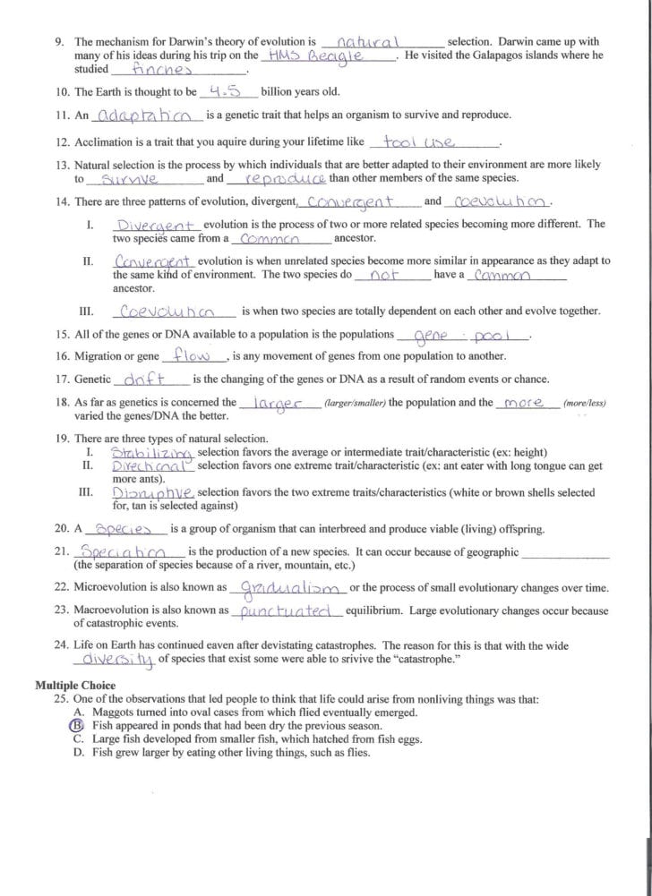 49 What Darwin Never Knew Video Worksheet Exploratorium — db-excel.com