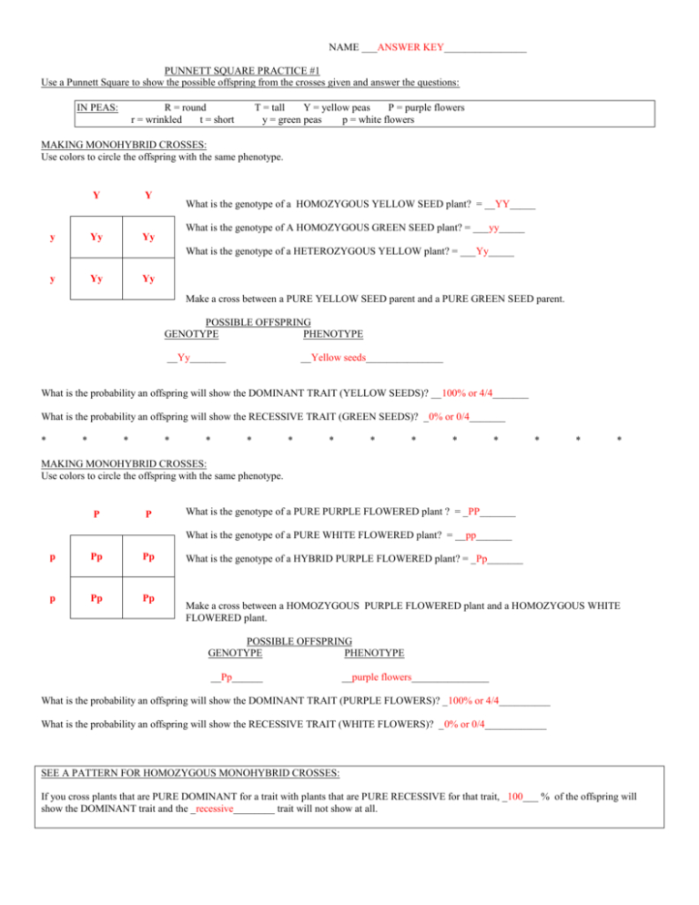 Monohybrid Cross Problems Worksheet With Answers — db-excel.com