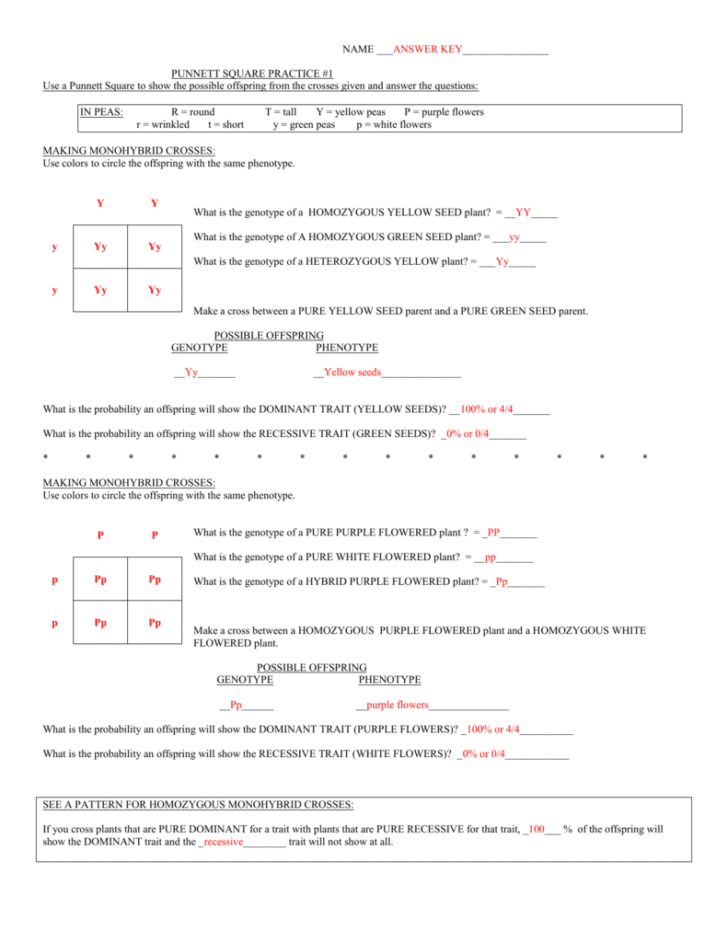 Punnett Square Worksheet 1 Answer Key — db-excel.com