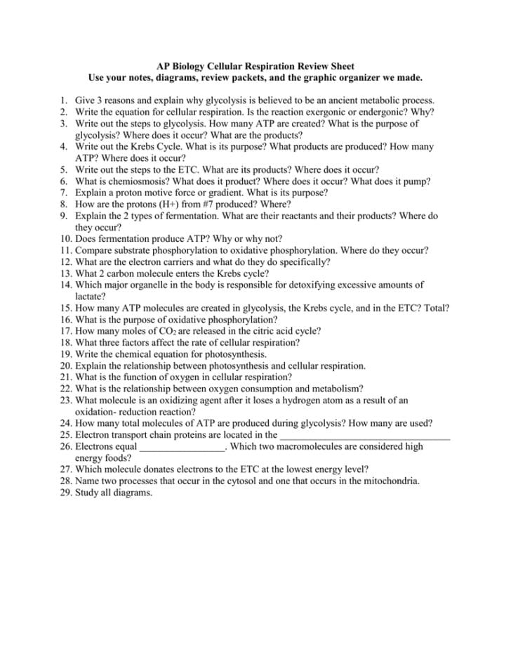 Ap Biology Cellular Respiration Review Sheet Use Your Notes — db-excel.com