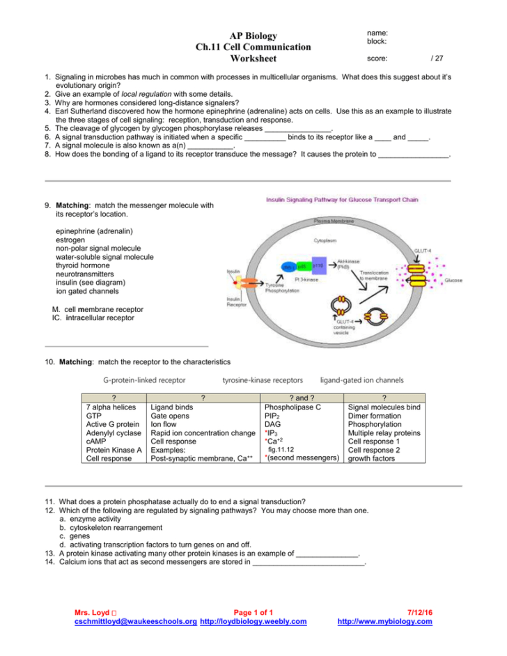 Signal Transduction Pathways Worksheet — db-excel.com