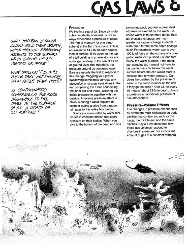 Gas Laws And Scuba Diving Worksheet Answers — db-excel.com