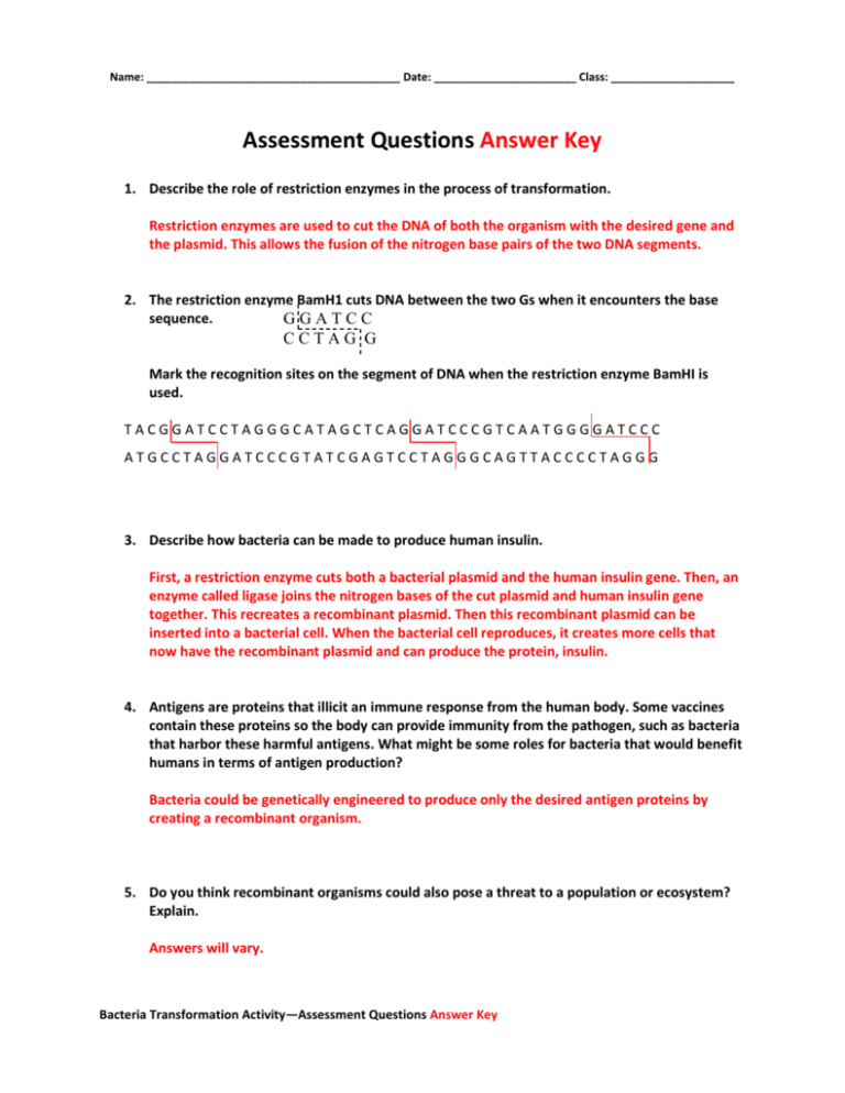 Recombinant Dna Technology Worksheet Answers — db-excel.com