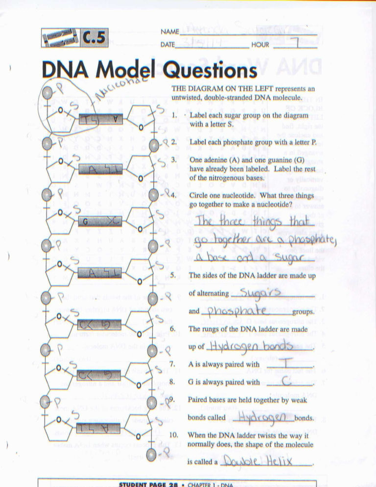Atomic Structure Review Worksheet Answer Key — db-excel.com