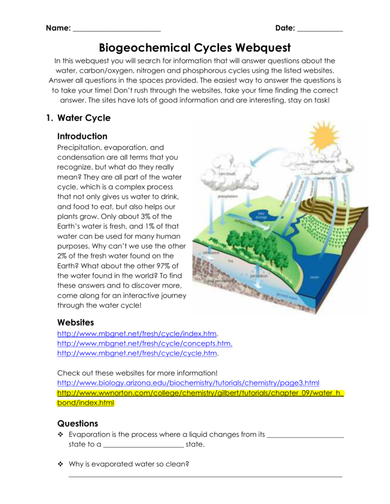 Biogeochemical Cycles Webquest — db-excel.com