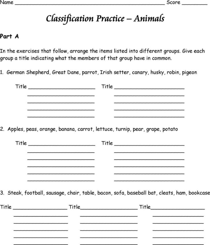 Animal Classification Worksheet Pdf — db-excel.com