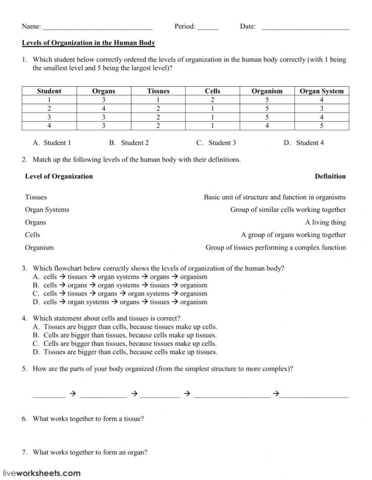 Levels Of Biological Organization Worksheet — db-excel.com