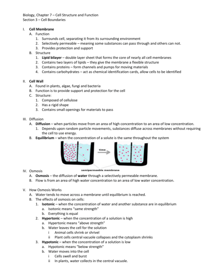Biology Chapter 7 – Cell Structure And Function Section 3 – Cell — db ...