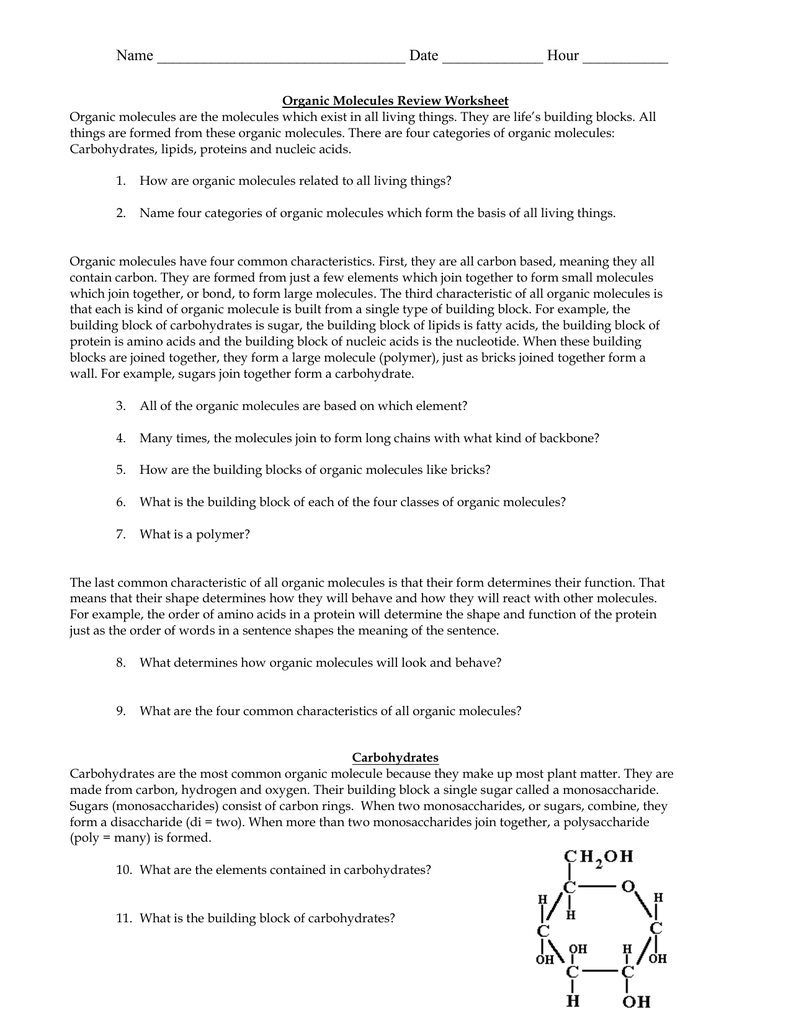 Biomolecule Review Worksheet Db excel
