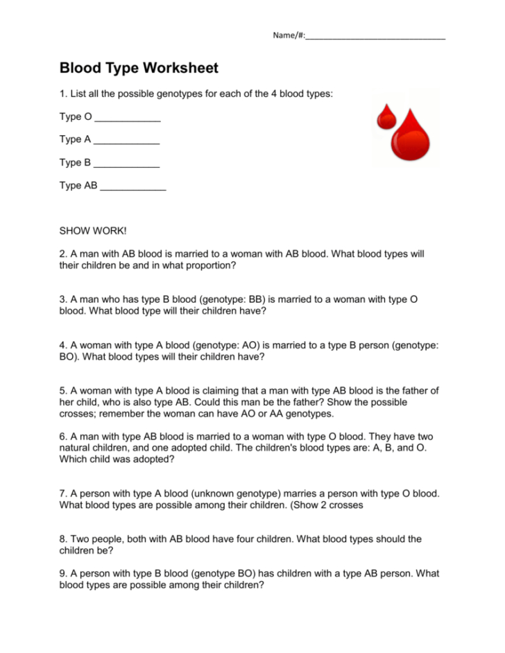 Blood Type Worksheet — db-excel.com