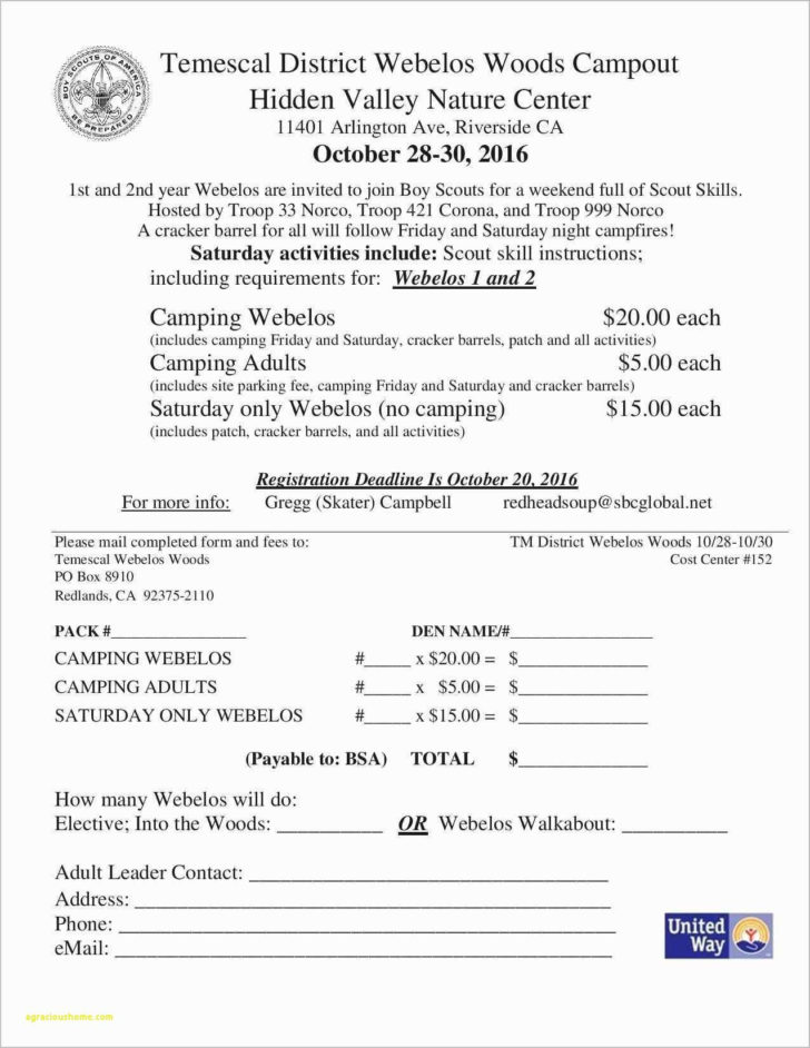 Boy Scout Troop Budget Worksheet — db-excel.com