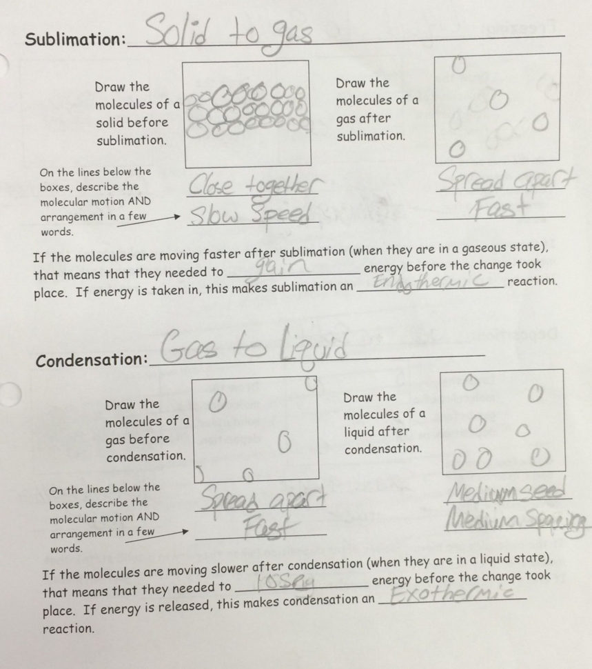 Thermal Energy Temperature And Heat Worksheet — db-excel.com