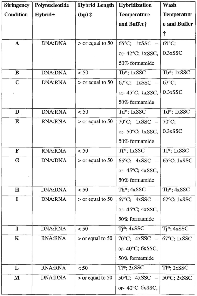 Cell Cycle And Dna Replication Practice Worksheet Key — db-excel.com