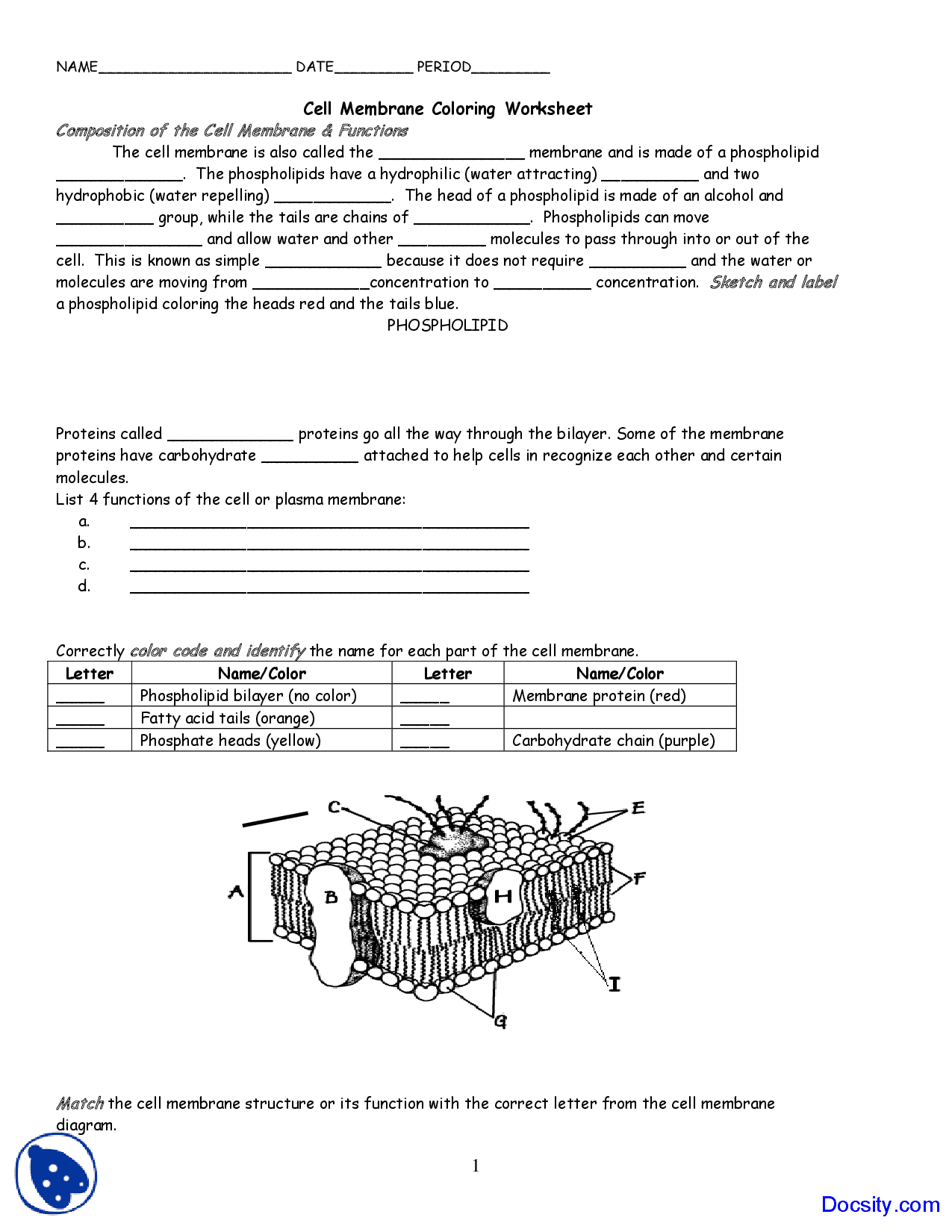 Cell Membrane Coloring Application Of Biology Assignment Db excel Cell Membrane Coloring Application Of Biology Assignment Db excel