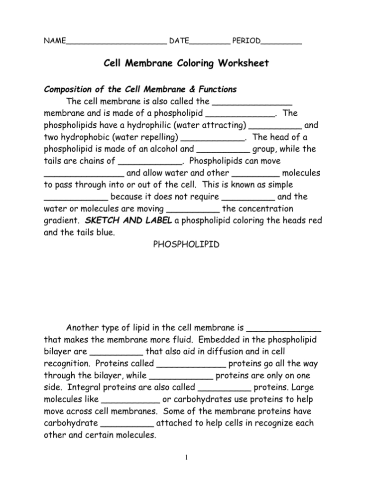 Cell Membrane Coloring Worksheet Composition Of The Cell — db-excel.com