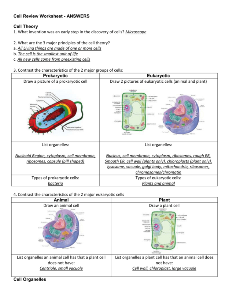 Cell Review Worksheet Db excel Cell Review Worksheet Db excel