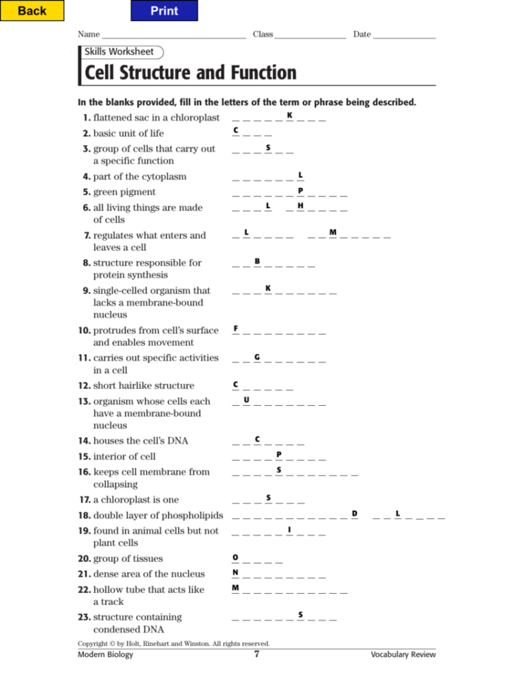 Cellular Structure And Function Worksheet — db-excel.com