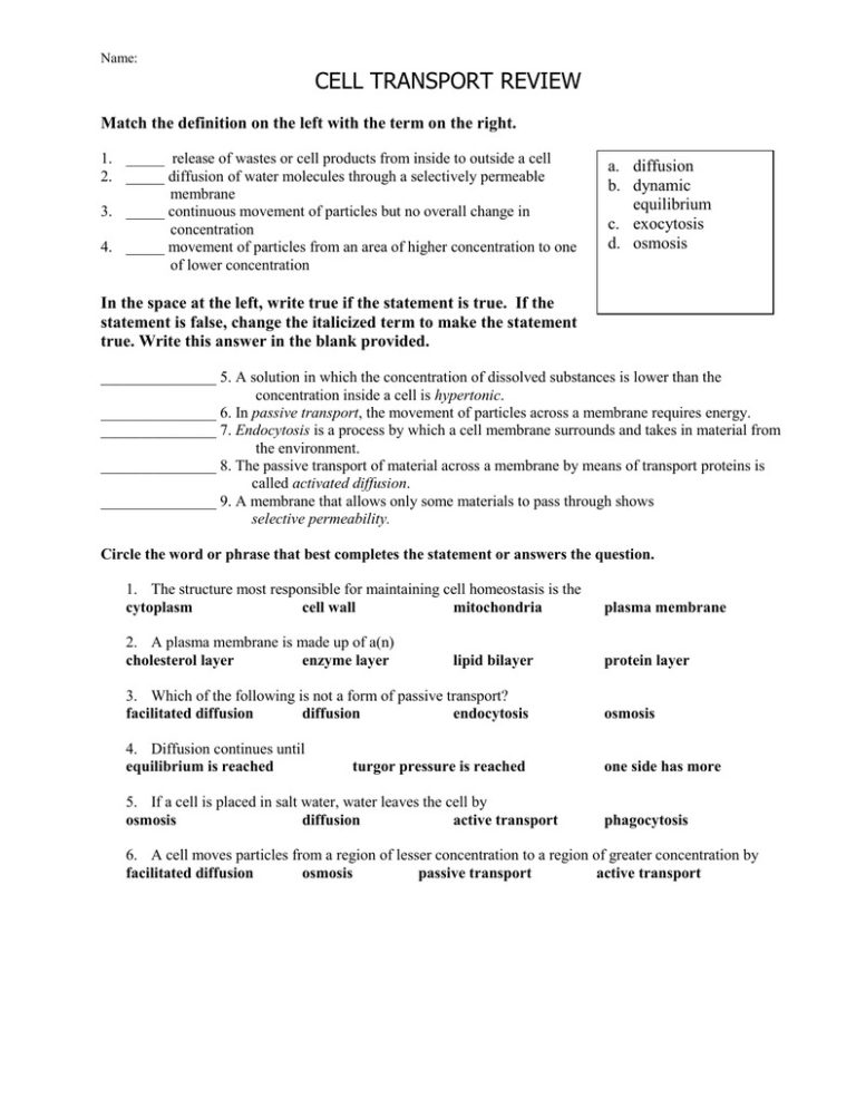 Cell Transport Review Active And Passive Transport Worksheet — db-excel.com