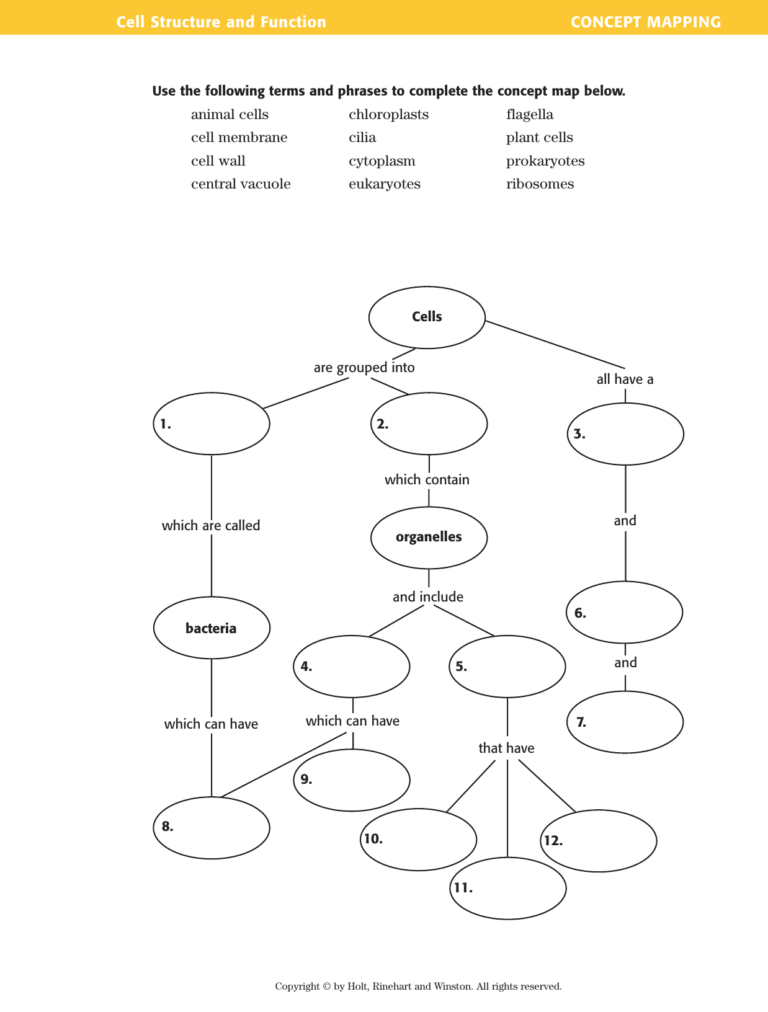 Cell Concept Map Worksheet Answers — db-excel.com