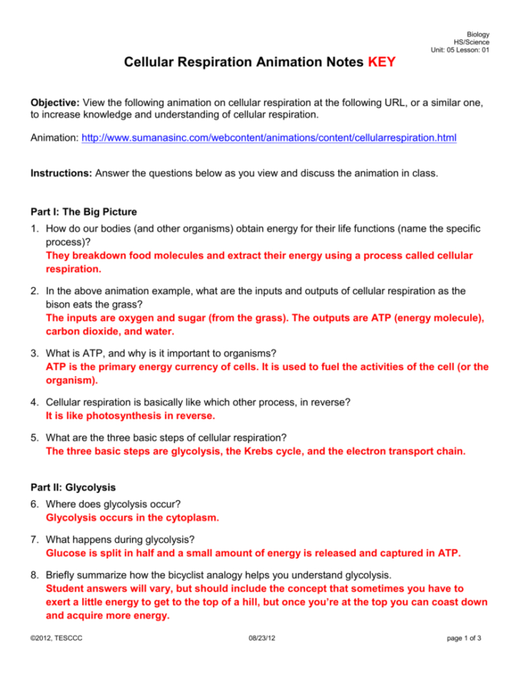 Cellular Respiration Animation Notes Key Db excel cellular-respiration-animation-notes-key-db-excel