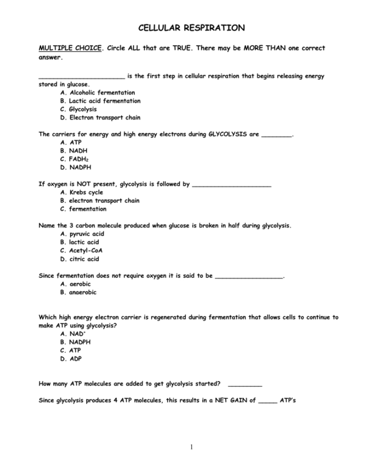 Anaerobic Pathways For Atp Production Worksheet Db excel Anaerobic Pathways For Atp Production Worksheet Db excel