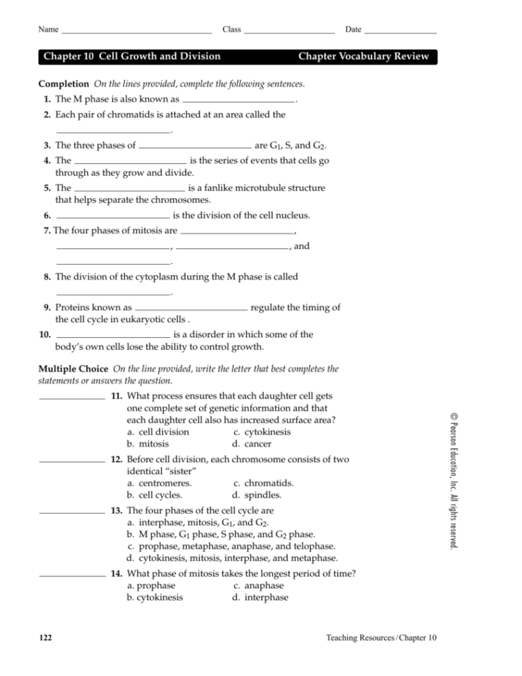 Chapter 10 Cell Growth And Division Chapter Vocabulary Review Db