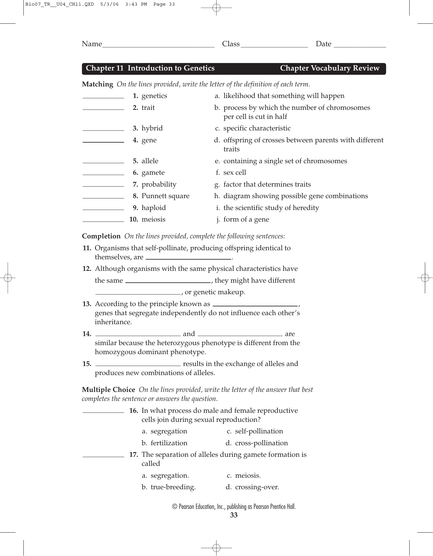 Chapter 11 Introduction To Genetics Chapter Vocabulary Review Db