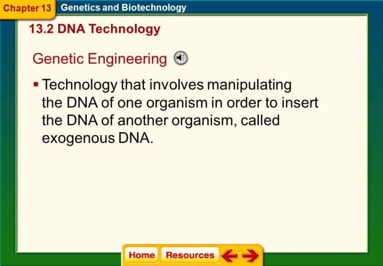 Genetics And Biotechnology Chapter 13 Worksheet Answers — db-excel.com