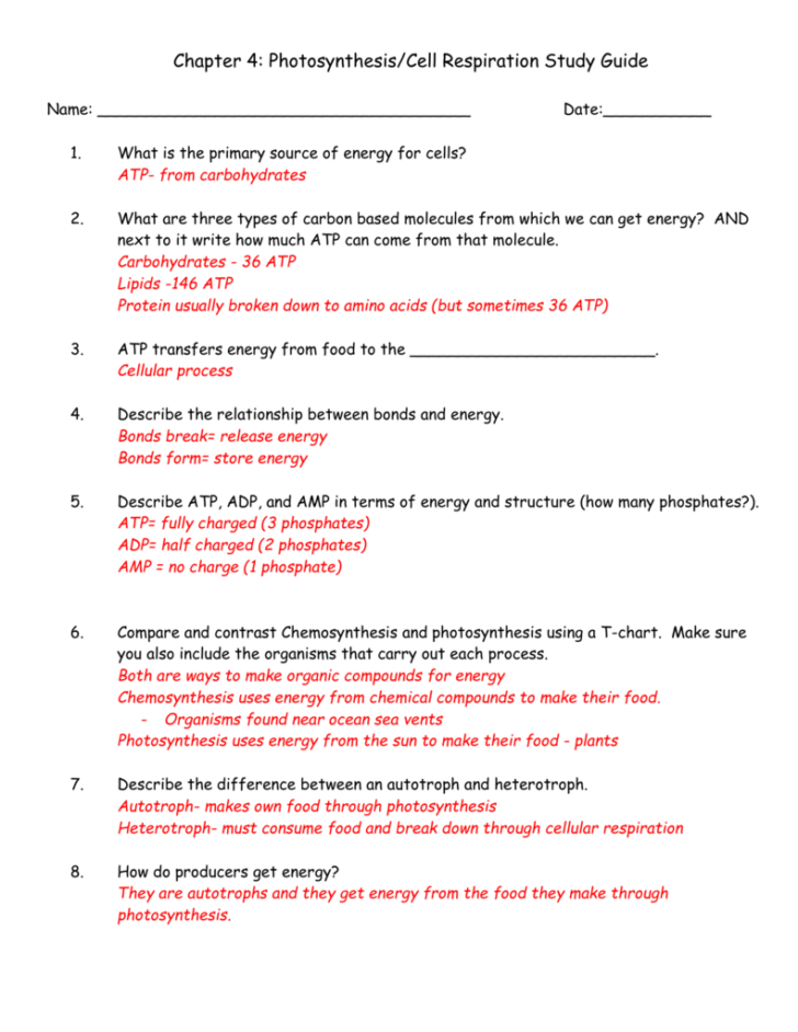Photosynthesis And Cellular Respiration Review Worksheet Answer Key