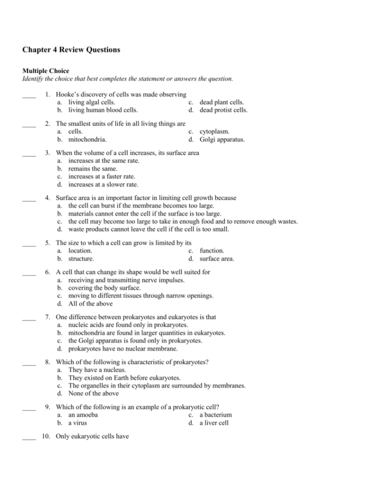 Chapter 4 Cell Structure And Function Worksheet Answers — db-excel.com