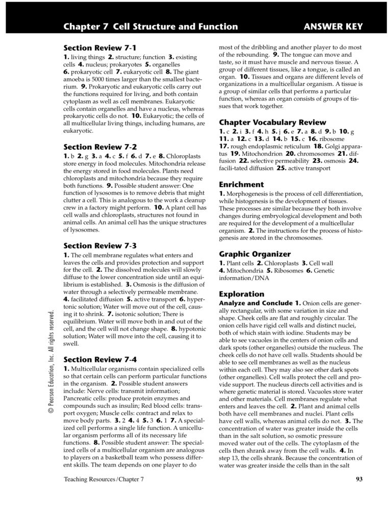 Lesson 7 2 Cell Structure Worksheet Answers — db-excel.com Lesson 7 2 Cell Structure Worksheet Answers — db-excel.com