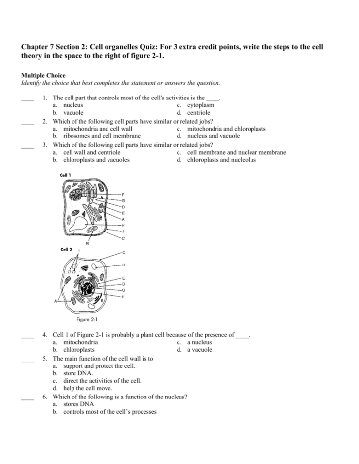 Chapter 7 Section 2 Cell Organelles Quiz — db-excel.com Chapter 7 Section 2 Cell Organelles Quiz — db-excel.com