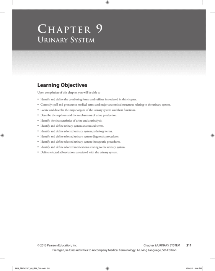 Chapter 9 Urinary System — db-excel.com
