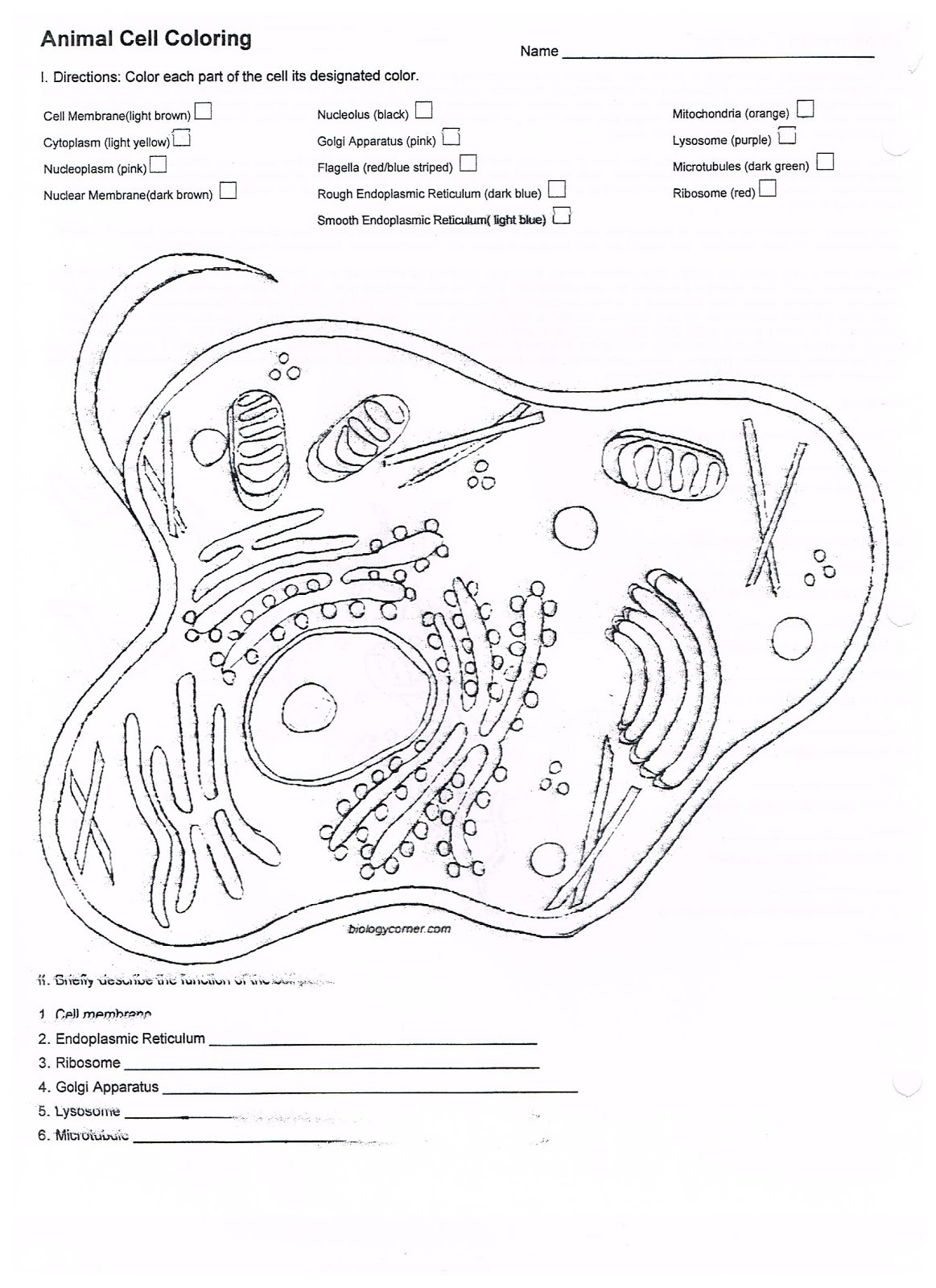 Coloring Page Animal Cell With Membrane Worksheet Answer Key Db excel Coloring Page Animal Cell With Membrane Worksheet Answer Key Db excel