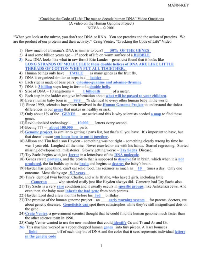 Human Genome Video Worksheet Answers — db-excel.com