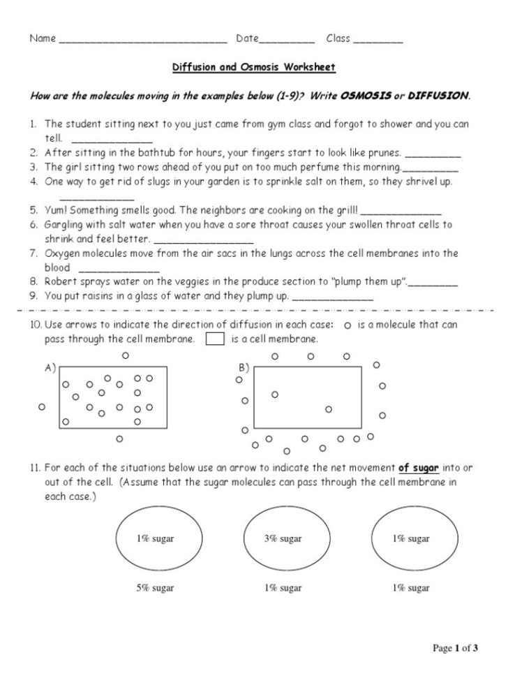 Diffusion Osmosis Worksheet Osmosis And Diffusion Worksheet — db-excel.com