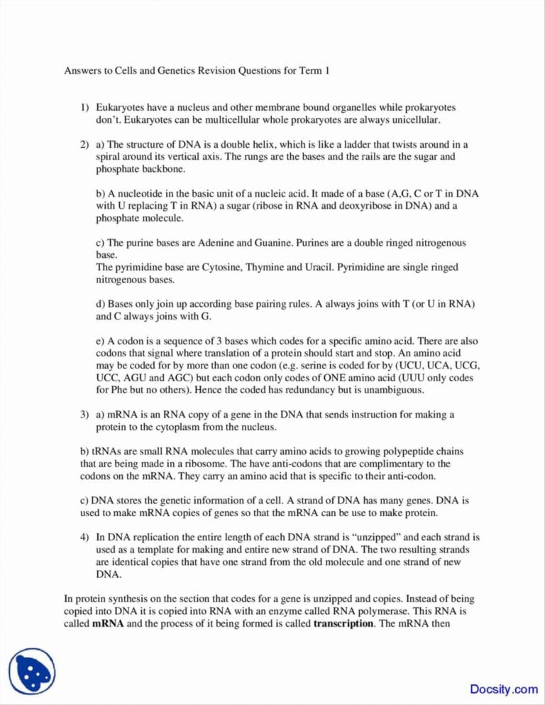 Dna Base Pairing Worksheet Answer Sheet — db-excel.com