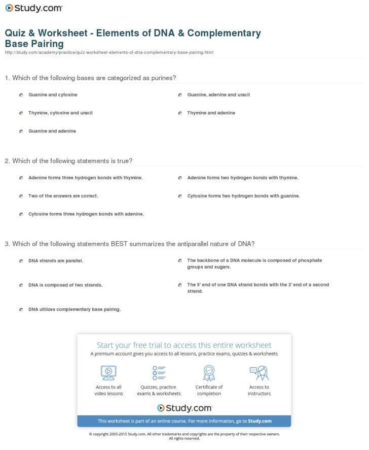 Dna Base Pairing Worksheet Answer Sheet — db-excel.com