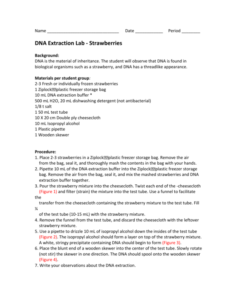 Dna Extraction Lab – Strawberries — db-excel.com