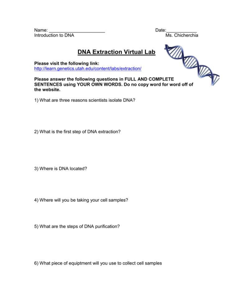 Dna Extraction Virtual Lab Worksheet — db-excel.com