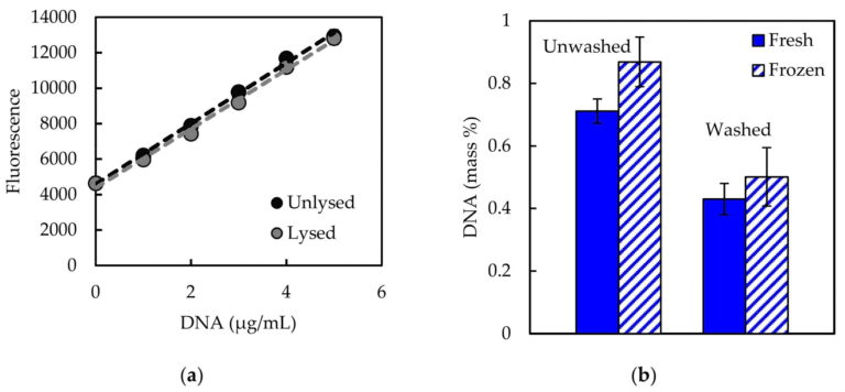 Dna Profiling Using Strs Worksheet Answers — db-excel.com