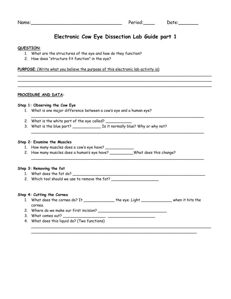 Cow Eye Dissection Worksheet Answers Db excel Cow Eye Dissection Worksheet Answers Db excel