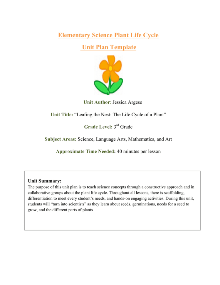 Plant Life Cycle Worksheet 3Rd Grade — db-excel.com