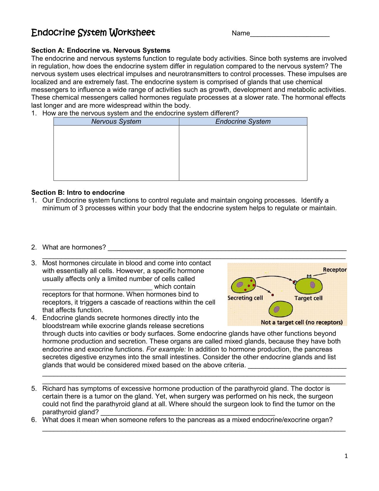 Endocrine System Worksheet Db excel